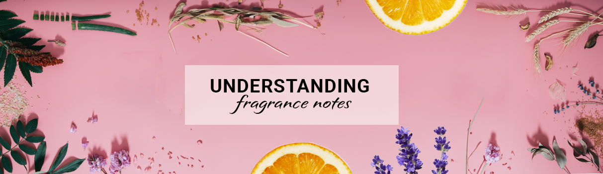 Understanding Fragrance Notes – Fragrancedealz.com
